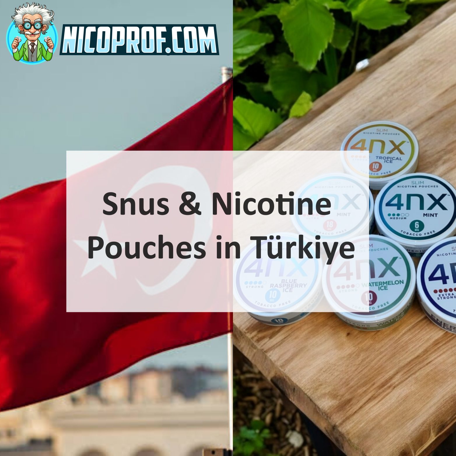 Snus in Türkiye: New Prospects for Nicotine Pouches - NICOPROF