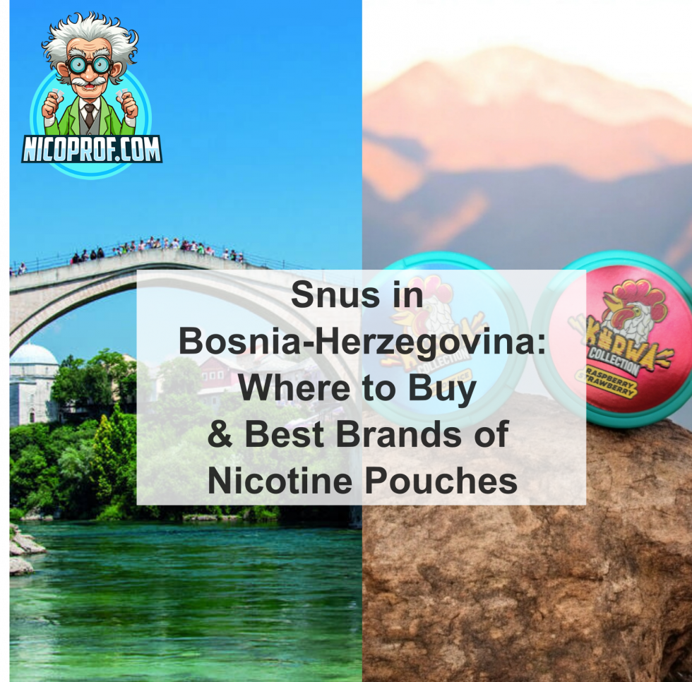 Get Nicotine Pouches & Snus in Bosnia and Herzegovina: 5 Best Brands to ...